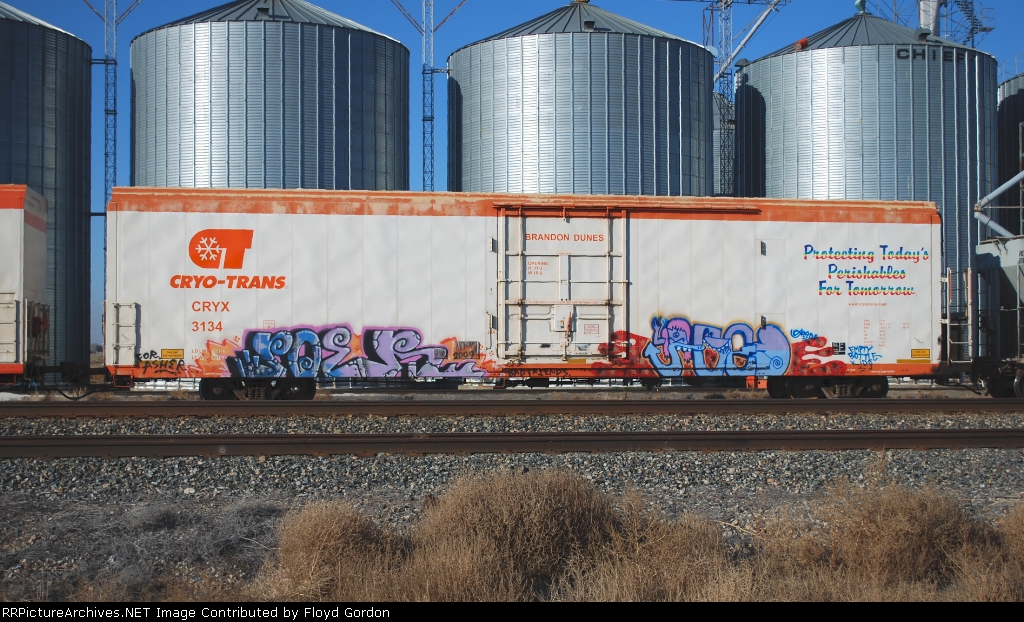 CRYX 3134 BRANDON DUNES